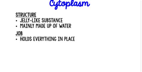 Biology Summative Flashcards Flashcards Quizlet