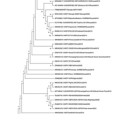 Figure E Maximum Likelihood Analysis Of Ff Complete Coding Sequences Of Download Scientific