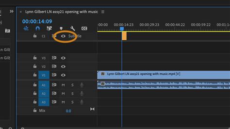 Solved Captions Not Showing In Program Monitor Premiere Adobe Product Community 13511654