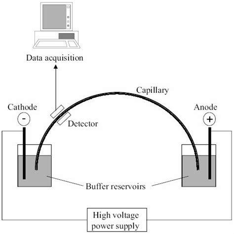 PDF High Efficiency Separation Techniques Fast HPLC Using Monolithic Silica Columns And