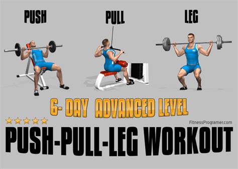 6 Day Push Pull Leg Workout For Advanced Lifters