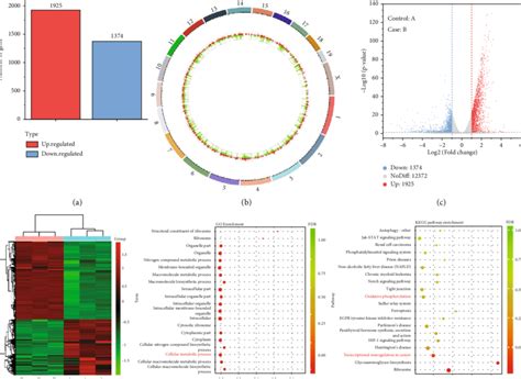 Transcriptomic Analysis In The Figure A And B Represent The Control