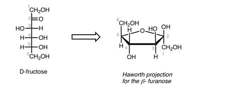 Converting A Fischer Projection To A Haworth And Vice Versa