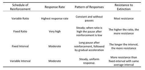 Real Life Examples Of Schedules Of Reinforcement Extra Quality