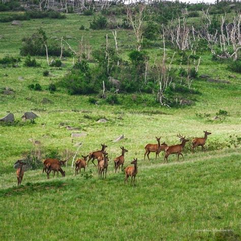 ФОТО Зуны дэлгэр цаг