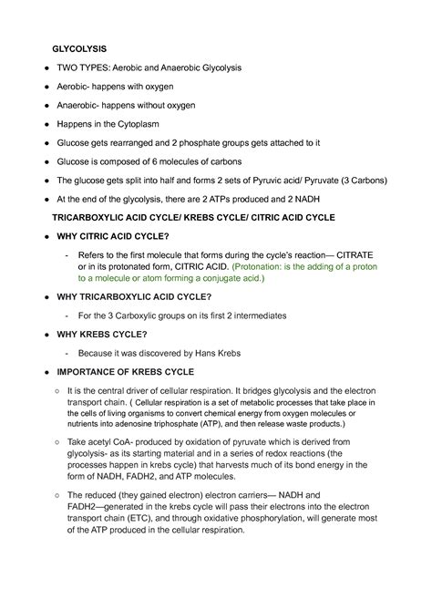 SOLUTION SIMPLE KREBS CYCLE GUIDE Studypool