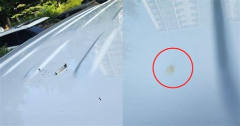 차에 담배꽁초 떨어져 변색무단 투기로 피해 본 차주