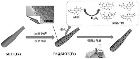 Application Of Metal Organic Framework Material In Removal Of Aflatoxin And Method For Removing