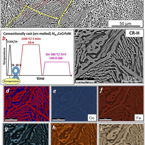 A Low Magnification Sem Bsed Image From The Al 0 7 Cocrfeni Cr H Download Scientific Diagram