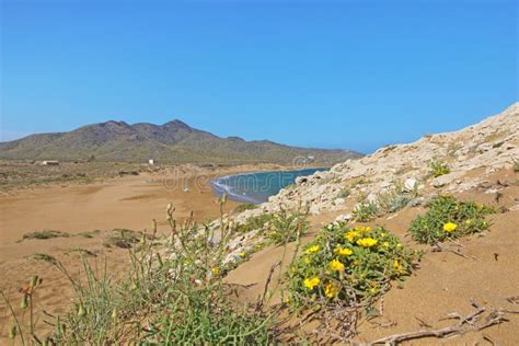 Sandy Beach Under Clear Blue Sky In Calblanque Cartagena Region Of