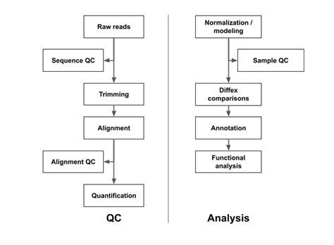 Bulk Rna Seq