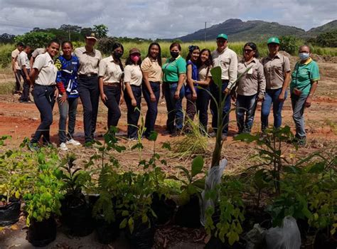Gestión Ambiental Y General Piar” Sanearon Y Sembraron En Ciudad Piar