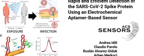 Nano Bioelectronics And Biosensors Group