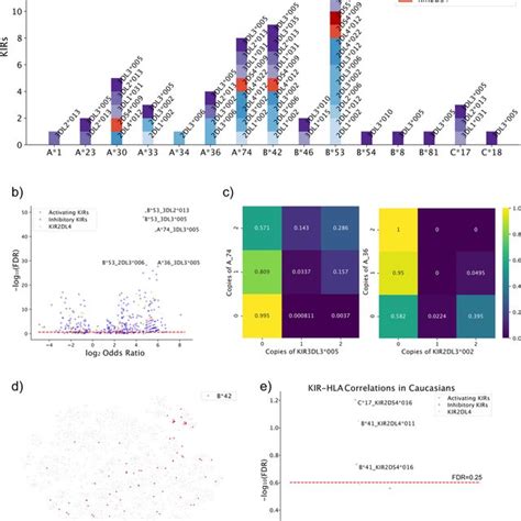 Kir Allele Associations With Hla Alleles A Bar Plot Depicting And