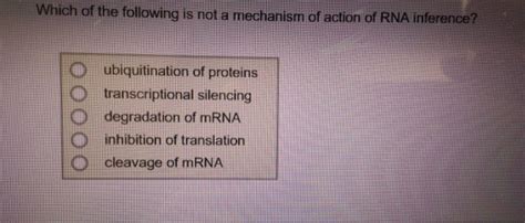 Solved To Which Part Of The Mrna Sequence Does The Risc