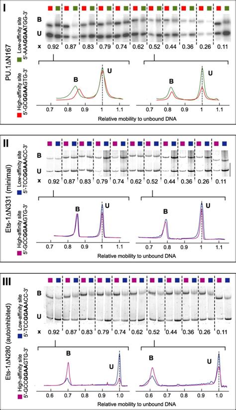 Dna Circular Permutation Reveals Structurally Distinct Site Specific