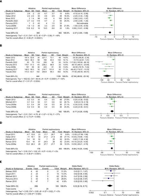 Perioperative Functional And Oncologic Outcomes After Ablation Or Partial Nephrectomy For