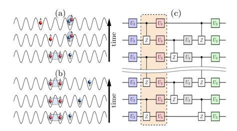doublon formation s role in many body systems unveiled