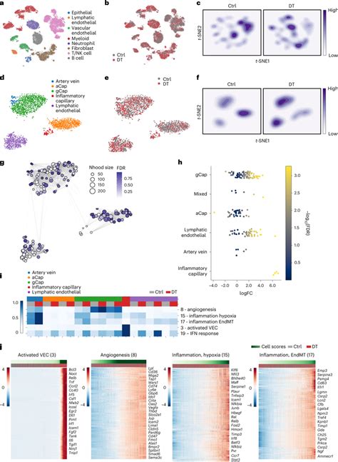Single Cell Transcriptomic Analysis Of ‘treg Cell Dependencies Of Download Scientific Diagram