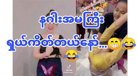 နဂါးအမကြီး ရှယ်ကိတ်တာနော် 😁😂😂 Youtube