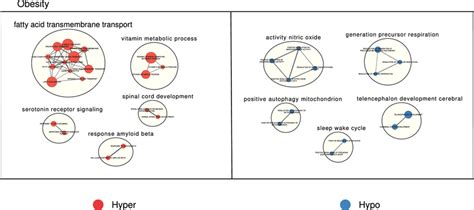 Maternal Obesity Generates Dna Methylation Signatures In Offspring That