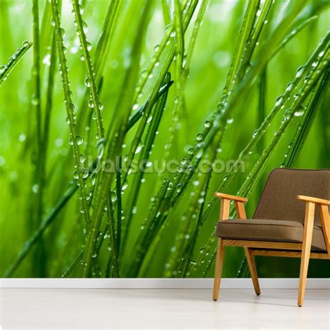 Grass Wall Mural Wallsauce Uk