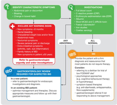 Differentiating Between Ibs And Ibd Crohns And Colitis Australia Cca