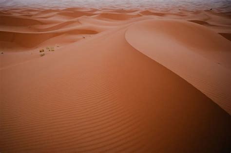 Stefan Dimitrievski On Linkedin Zcreators Sahara Saharadesertmorocco