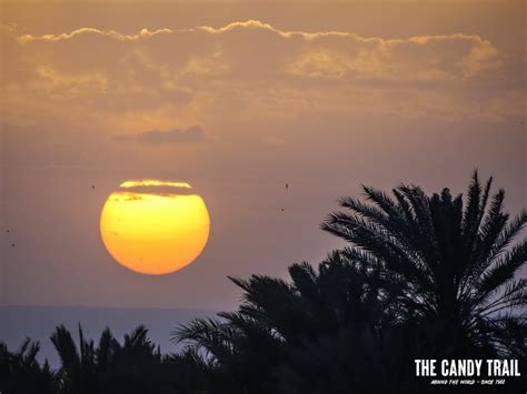 El Qasr Another Amazing Oasis