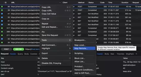 view and debug network request with proxyman app