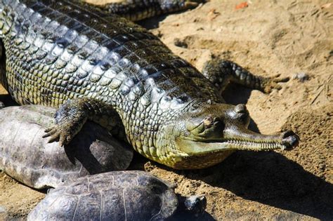 Premium Photo Hello Friend