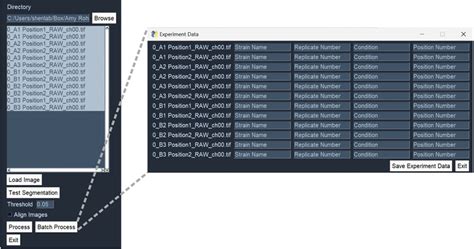 batch image processing interface download scientific diagram