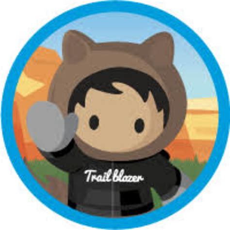 See Workshop Workflow And Process Builder At Trailblazer Community Salesforce Admin Group