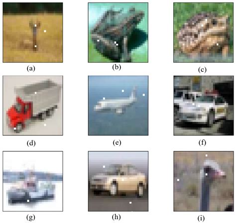 Entropy Free Full Text Adversarial Data Hiding In Digital Images
