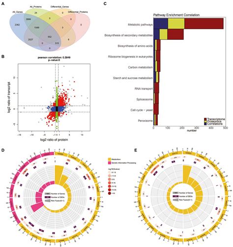 Frontiers Combined Transcriptome And Proteome Analysis Of Bcfrp1