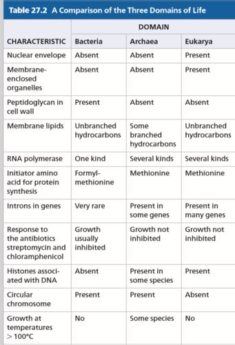 Campbells Biology Chapter 27 Flashcards Quizlet