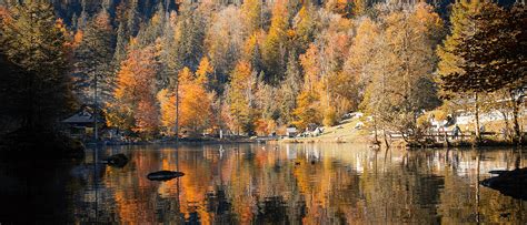 Go语言切片，使用技巧与避坑指南 左诗右码 Segmentfault 思否