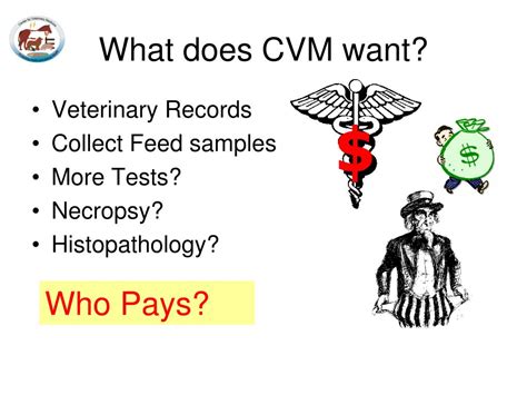 Ppt Or Organizational Chart Powerpoint Presentation Free Download