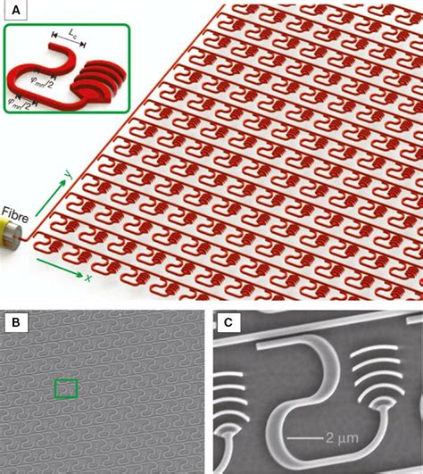 Silicon Photonic Two Dimensional Optical Phased Array A Schematic Download Scientific