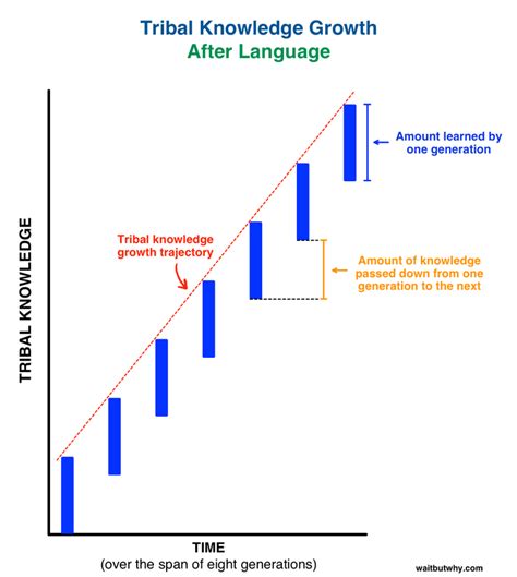 一文读懂迁移学习和预训练迁移学习得到的预训练模型是在修改后的网络上用的？ Csdn博客