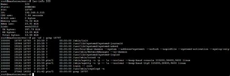 VM VS LXC MasterServer Documentation