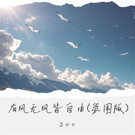 有风无风皆自由 氛围版 Youtube Music