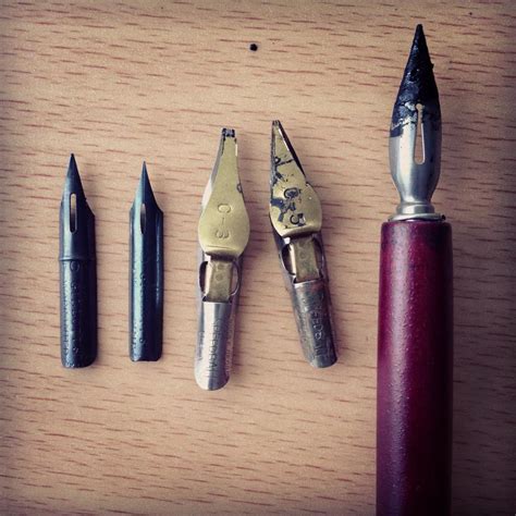 Ink And Nib Drawings Lily Mae Martin