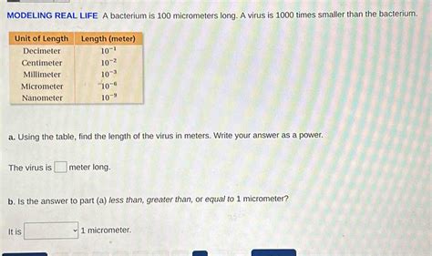 Solved Modeling Real Life A Bacterium Is 100 Micrometers Long A Virus Is 1000 Times Smaller
