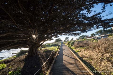 Moonstone Beach Boardwalk In Cambria California Through My Lens