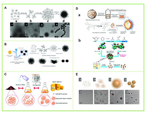 A Schematic Representation Of The Colloid Formation Process Of The Download Scientific