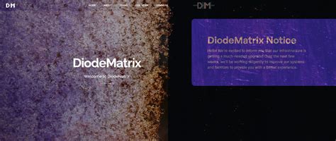Diodematrix The Start Of A New Era