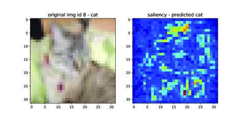 12 A Test Image A Cat From Cifar Dataset And The Gradient Based Download Scientific Diagram