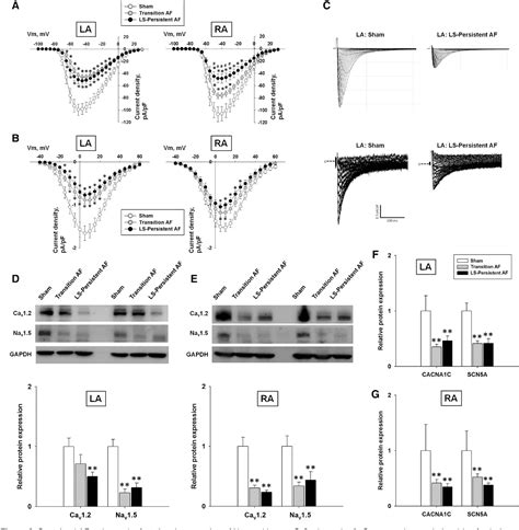 Figure 6 From Dominant Frequency Increase Rate Predicts Transition From