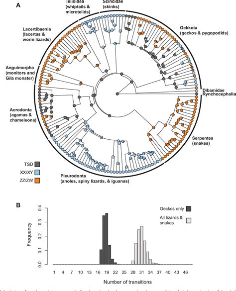 Figure From Restriction Site Associated DNA Sequencing RAD Seq Reveals An Extraordinary